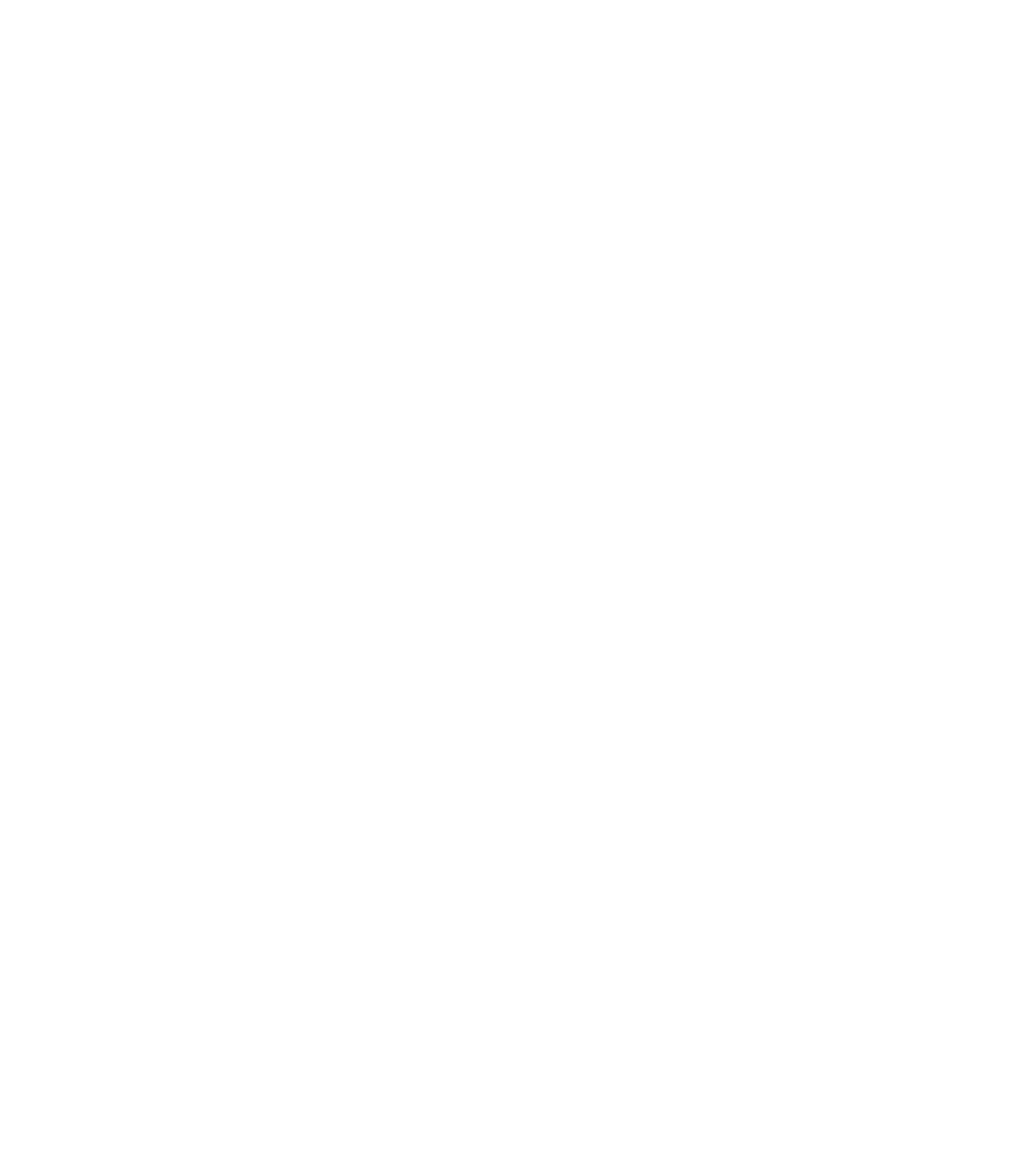 Premium-Chauffeur-Limousine und luxuriöse Transfers weltweit